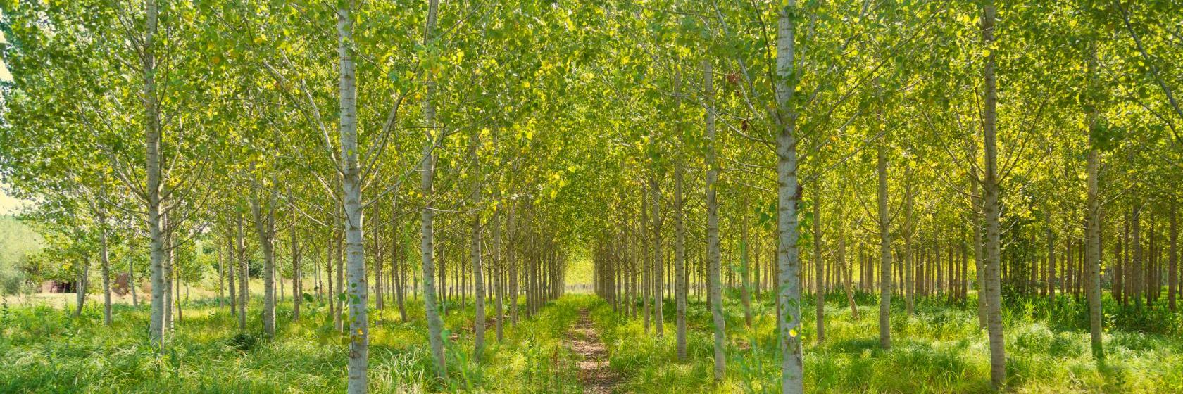 The best available hotels & places to stay near Anglés, Spain