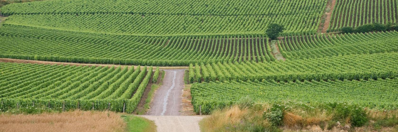 Hôtels à Maisons-lès-Chaource. Hôtels avec Meilleur Prix Garanti ...
