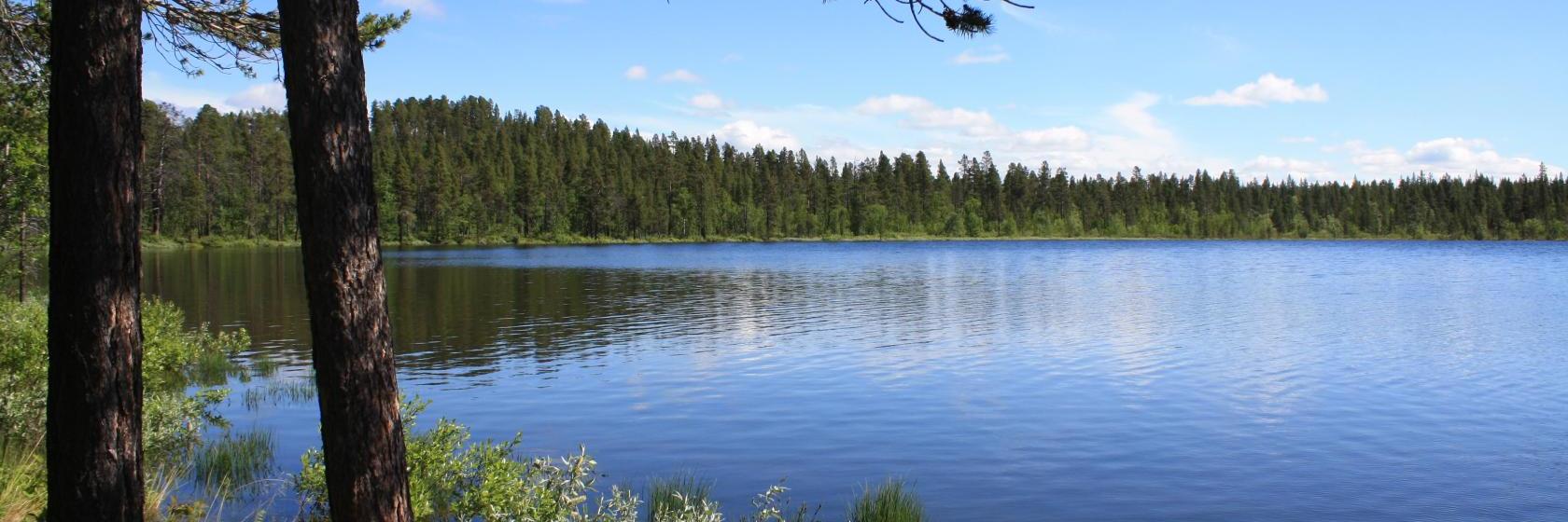 Die besten verfügbaren Hotels und Unterkünfte in der Nähe von ...