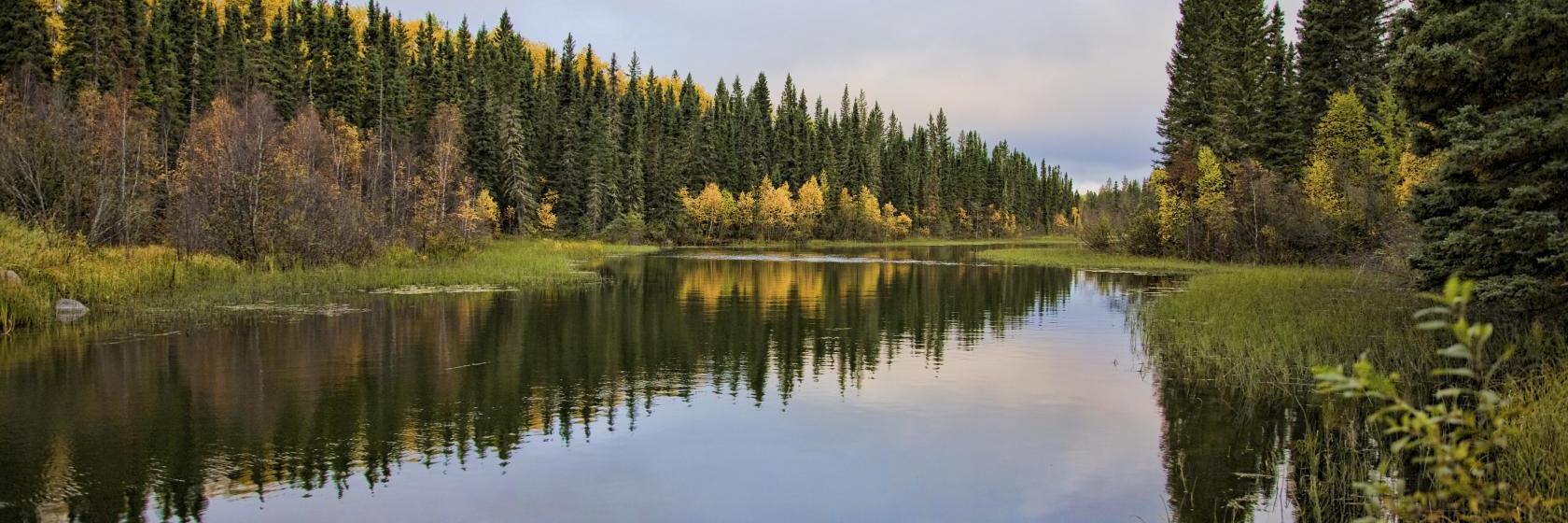 The best available hotels & places to stay near Waskesiu Lake, Canada