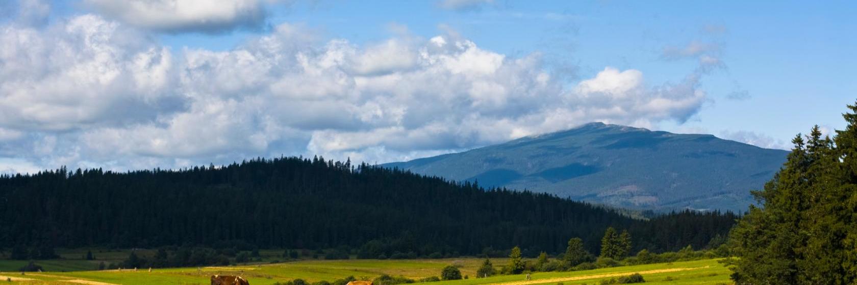 10 najlepszych hoteli w mieście Tresna, śląskie – tanie hotele Tresna