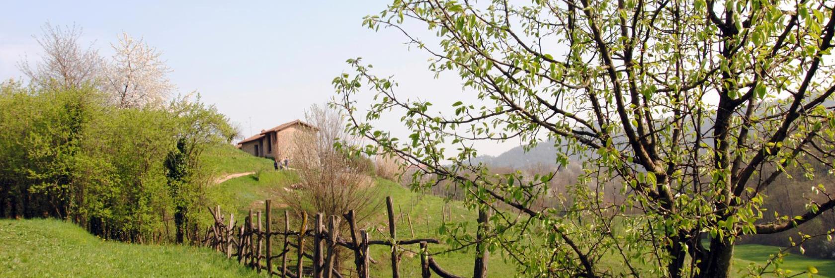 The best available hotels & places to stay near Caponago, Italy