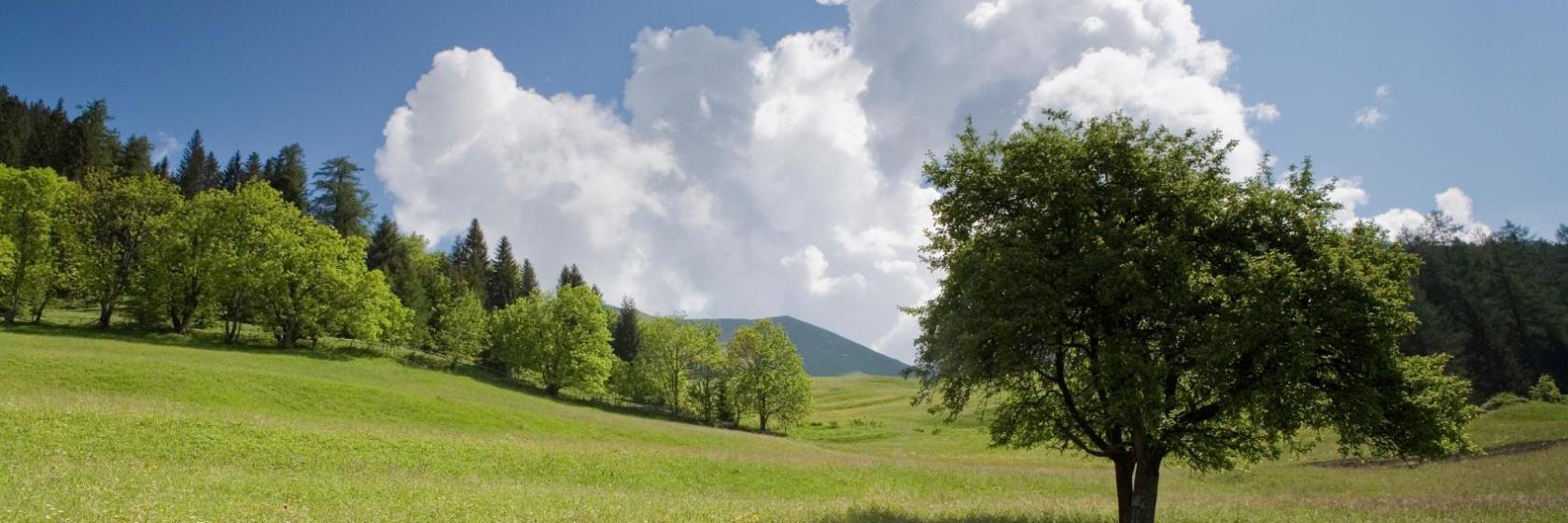 The 10 best hotels & places to stay in Kalletal, Germany - Kalletal hotels