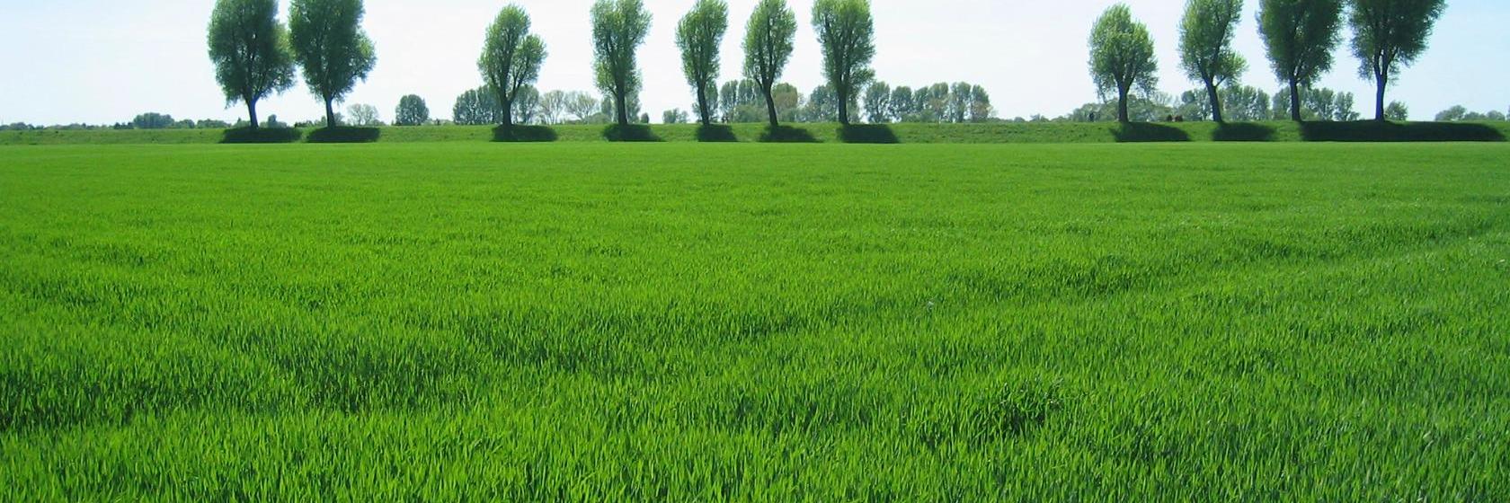 The best available hotels & places to stay near Widdig, Germany