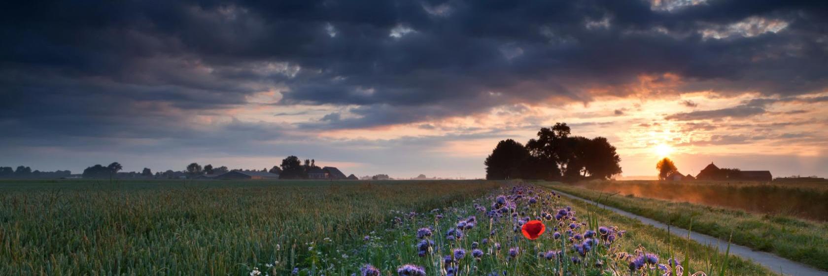 The best available hotels & places to stay near Cadier en Keer, Netherlands