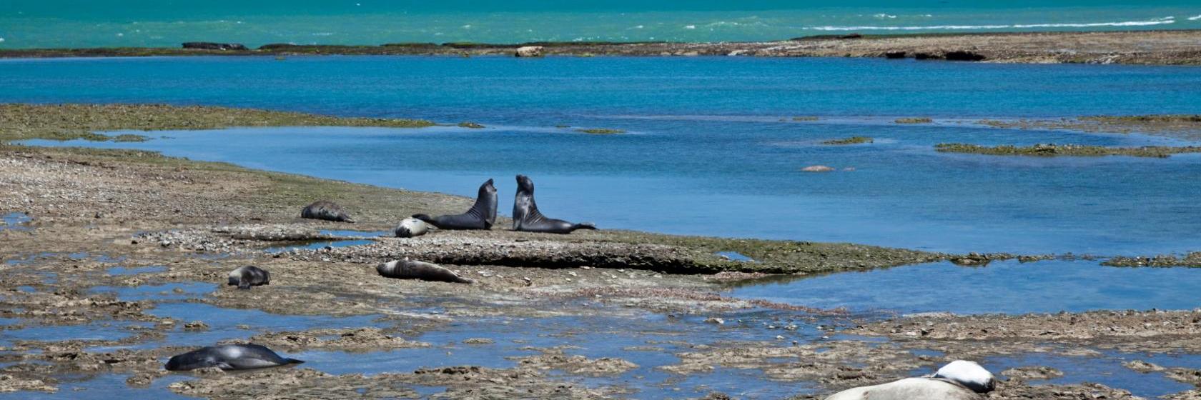 I migliori hotel e alloggi disponibili nei pressi di Punta Delgada ...