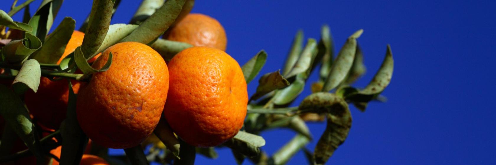 10 Best Torrent Hotels, Spain (From $57)