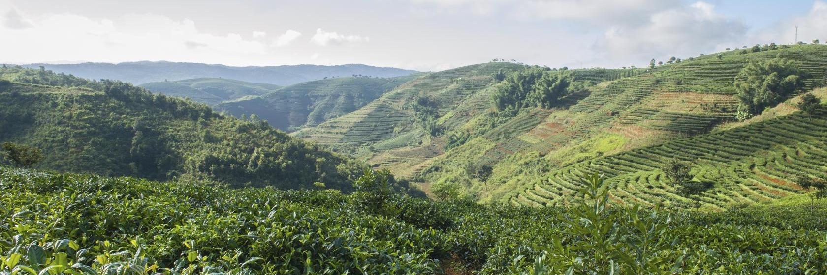 Die besten verfügbaren Hotels und Unterkünfte in der Nähe von Mengla, China