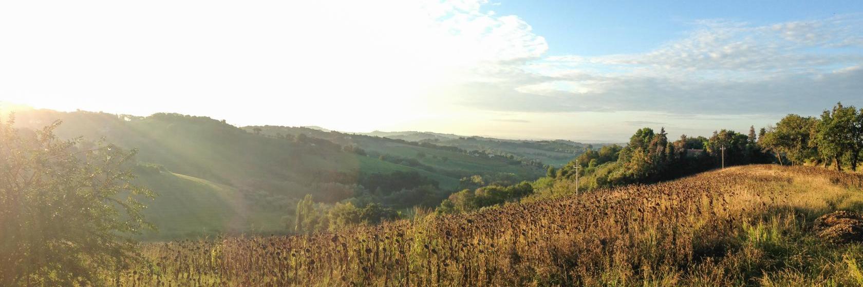 Die besten verfügbaren Hotels und Unterkünfte in der Nähe von Novilara ...