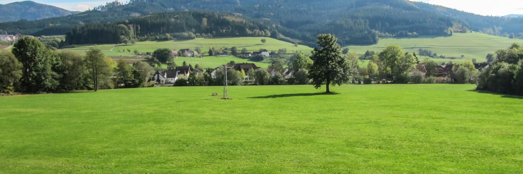 The best available hotels & places to stay near Winden im Elztal, Germany