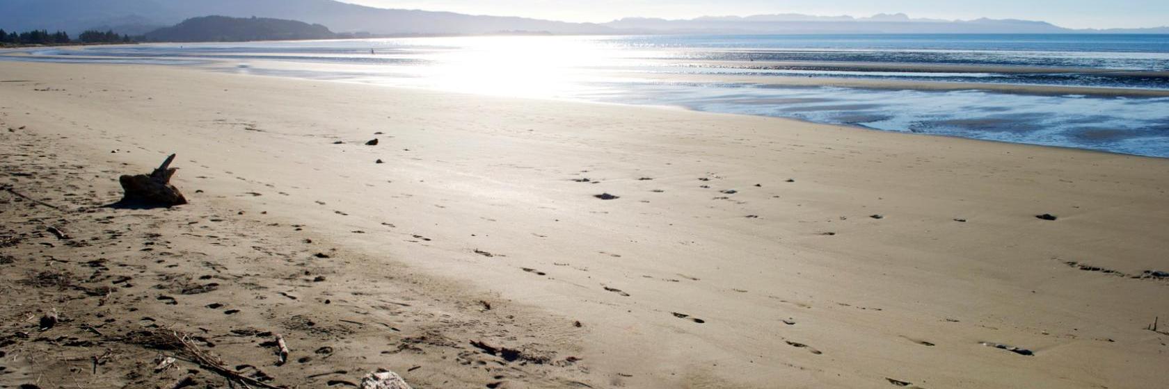 The 10 best hotels & places to stay in Pohara, New Zealand - Pohara hotels