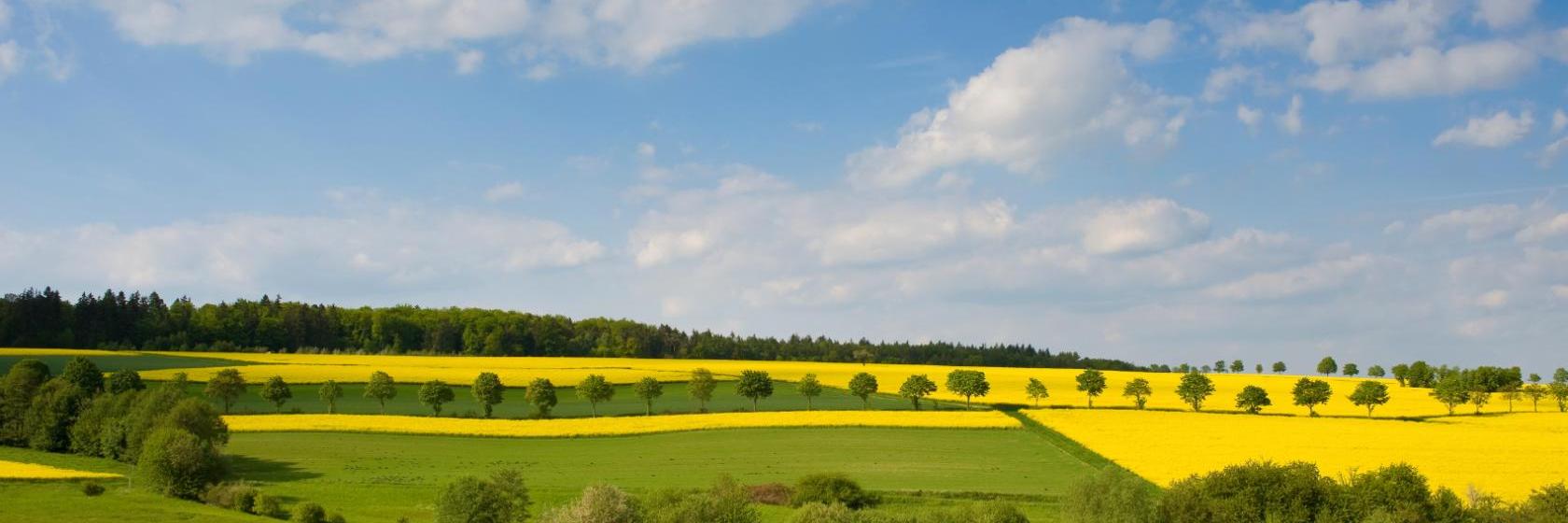 The 10 best hotels & places to stay in Seelbach, Germany - Seelbach hotels