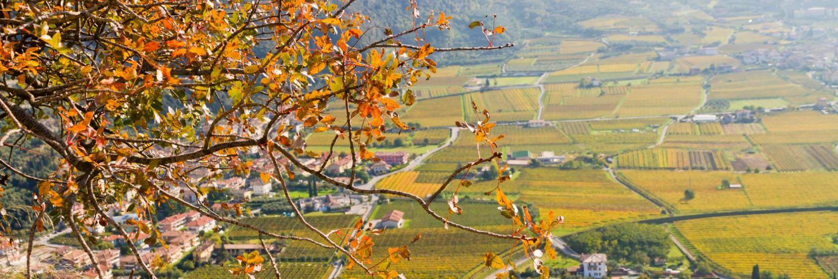 The 10 best hotels & places to stay in Dro, Italy - Dro hotels