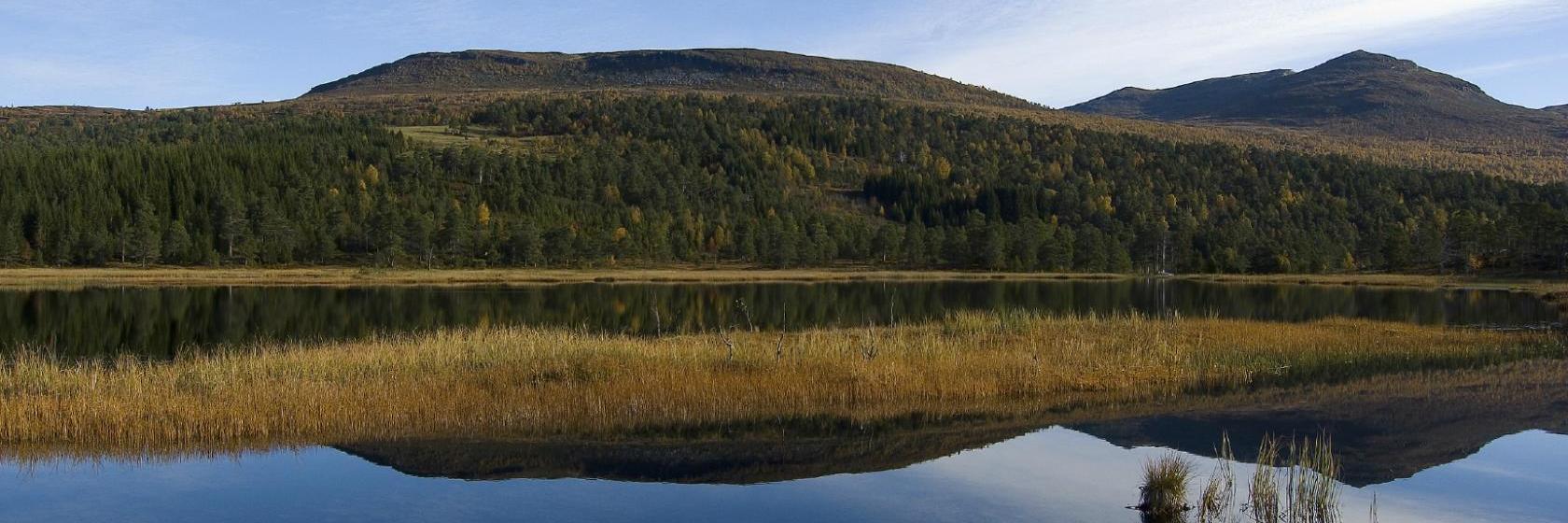 The best available hotels & places to stay near Sandane, Norway