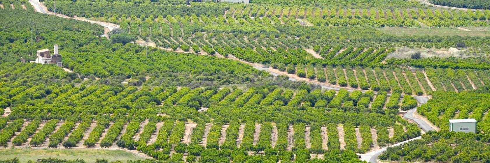 The 10 best hotels & places to stay in Catí, Spain - Catí hotels