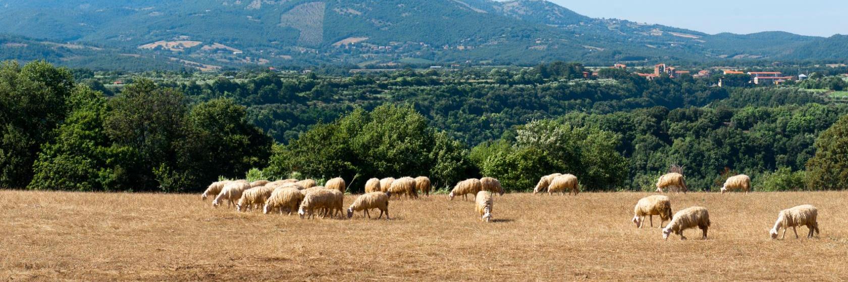 The 10 best hotels & places to stay in Poggio Murella, Italy - Poggio ...