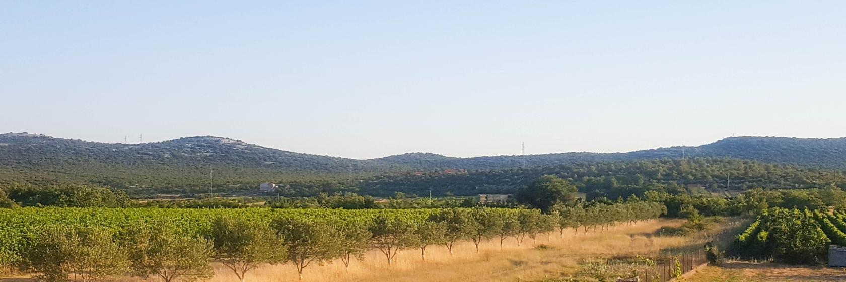 10 Best Stankovci Hotels, Croatia (From $98)