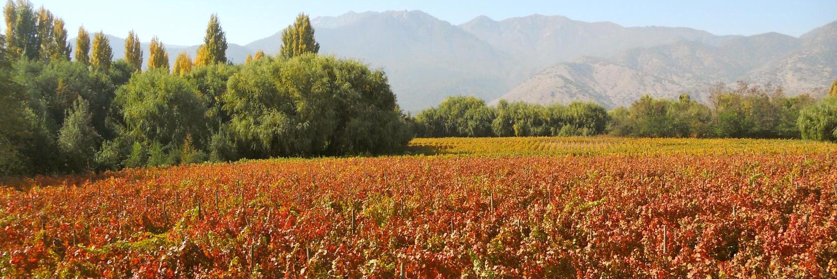Hoteles baratos cerca de Rengo, Chile - Dónde dormir cerca de Rengo