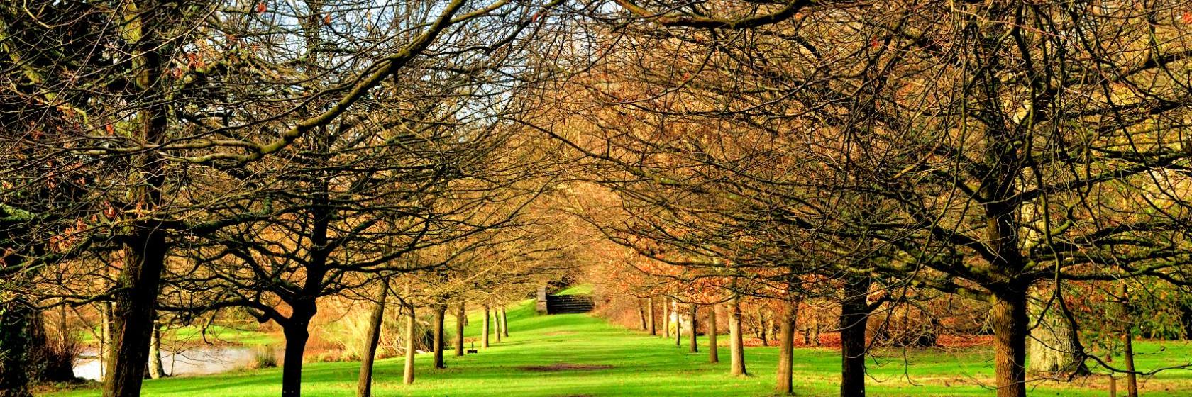 The best available hotels & places to stay near Charminster ...