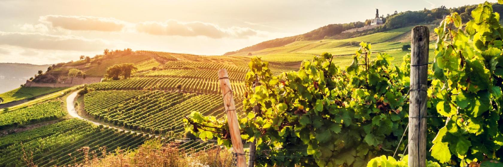 The best available hotels & places to stay near Werbach, Germany