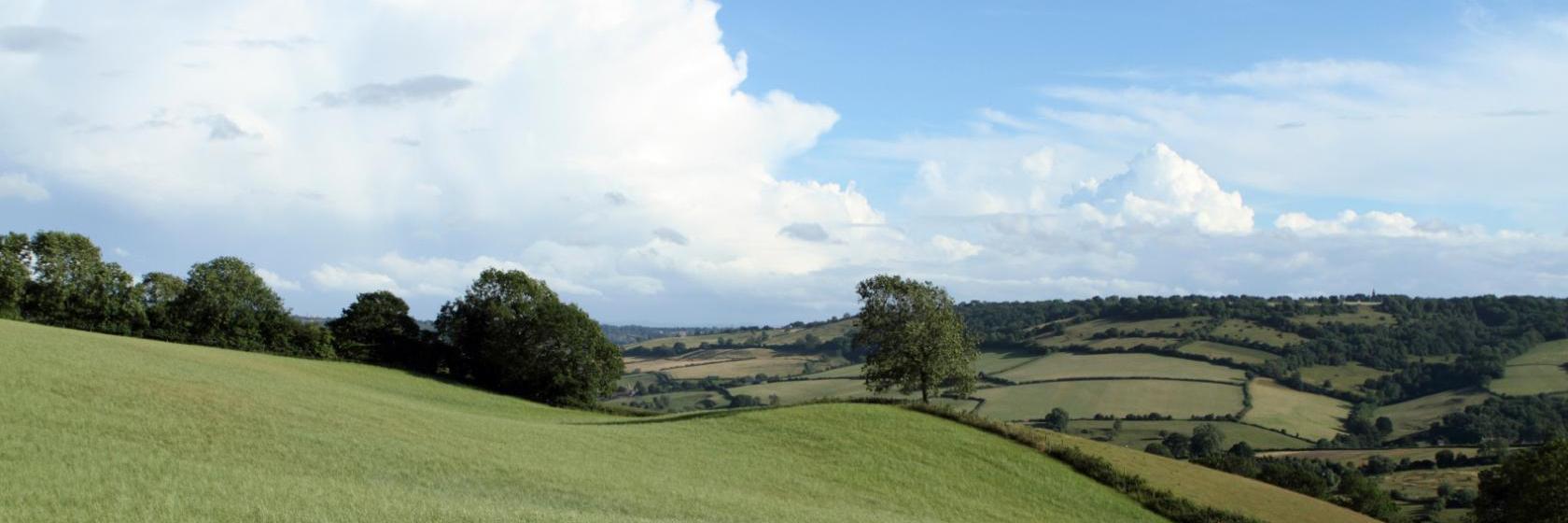 10 Best Honiton Hotels, United Kingdom (From $110)