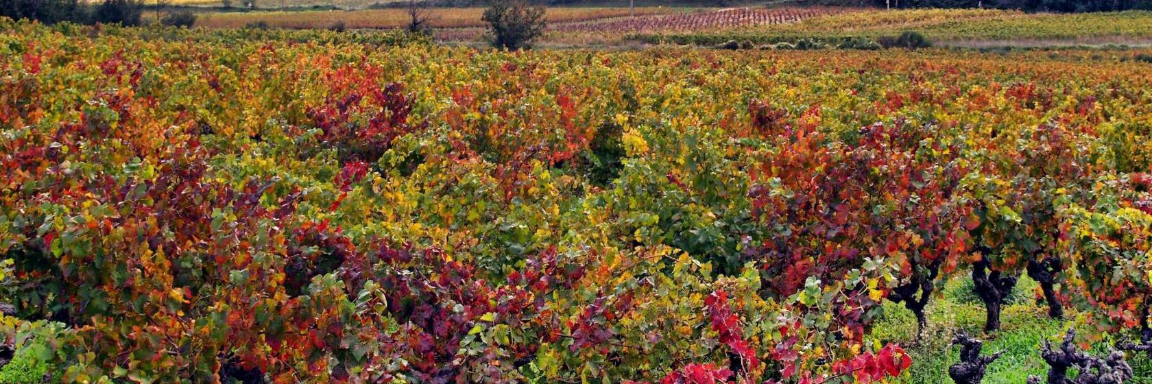 The 10 best hotels & places to stay in Pujaut, France - Pujaut hotels