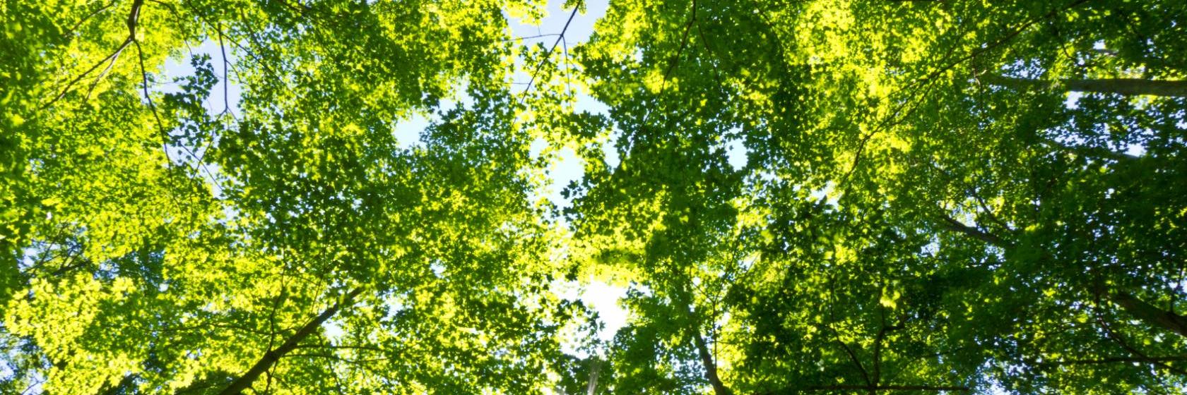 The best available hotels & places to stay near Alten Buseck, Germany