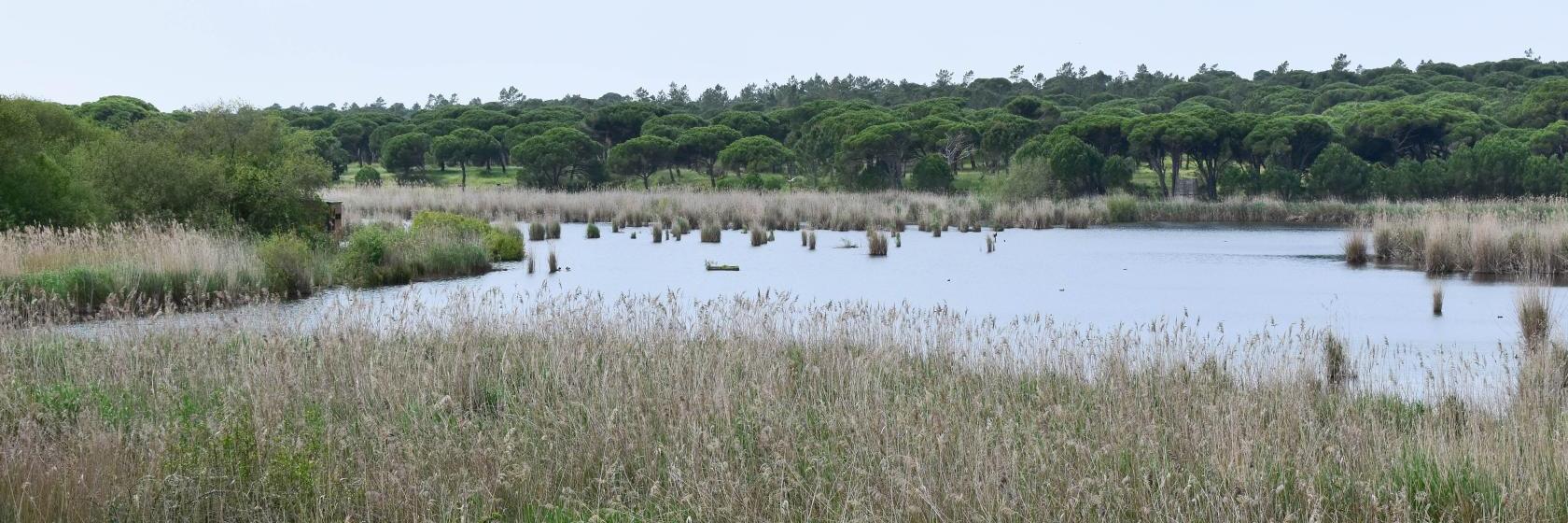 The 10 best hotels & places to stay in Alfarim, Portugal - Alfarim hotels