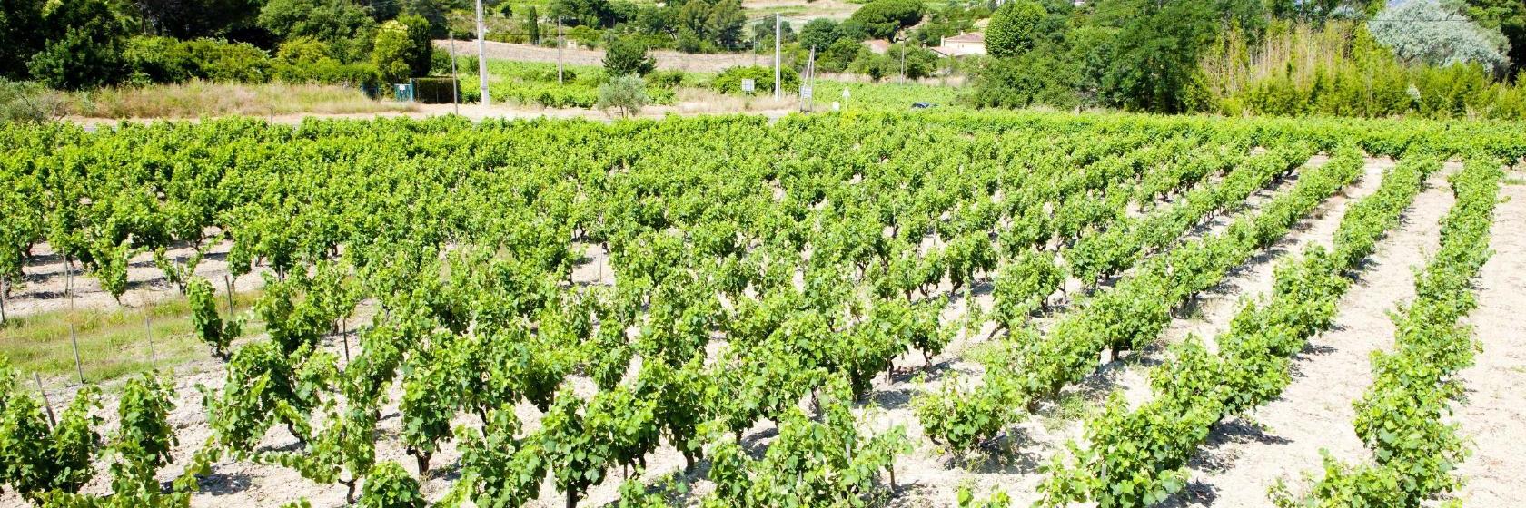 The 10 best hotels & places to stay in Bras, France - Bras hotels