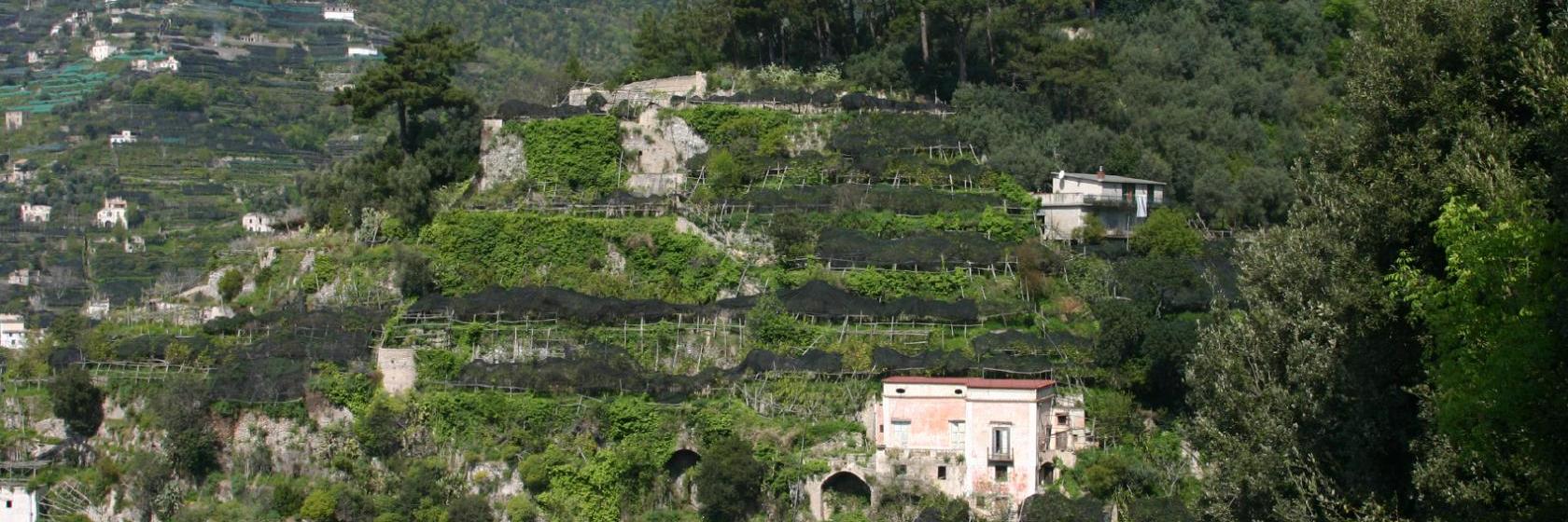 The best available hotels & places to stay near Piaggine, Italy