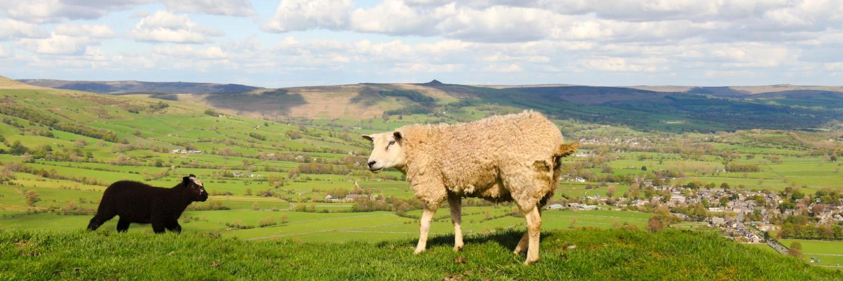 The 10 best hotels in Moira, Down County - Cheap Moira hotels