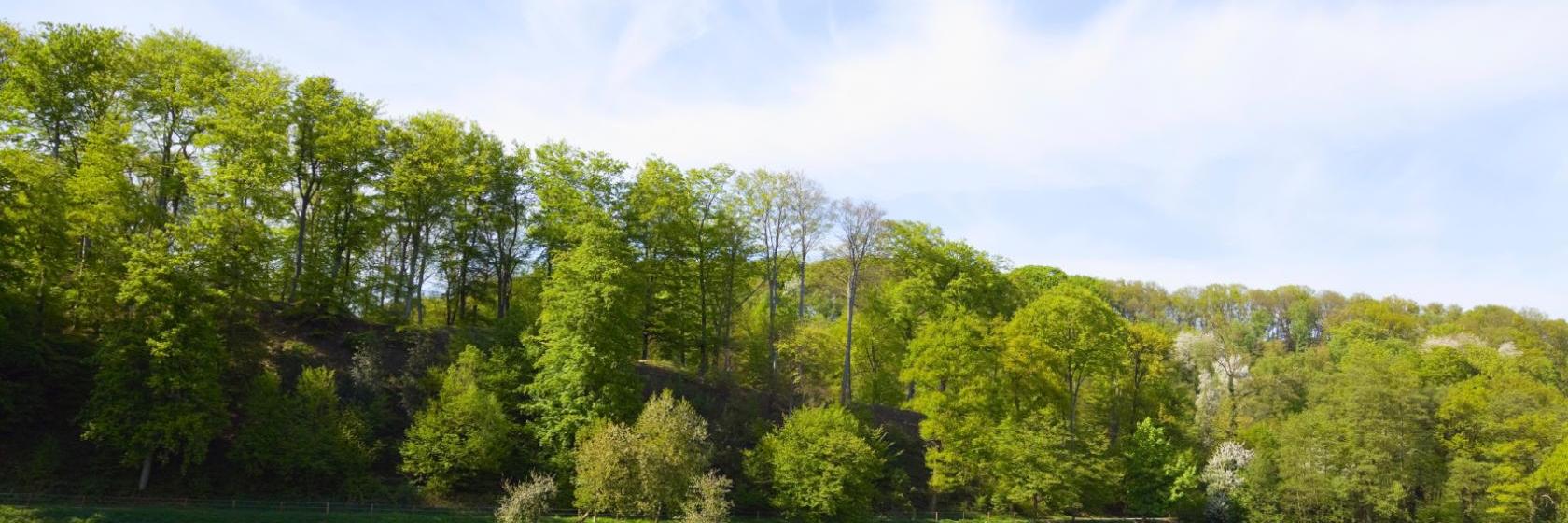 The best available hotels & places to stay near Lette, Germany