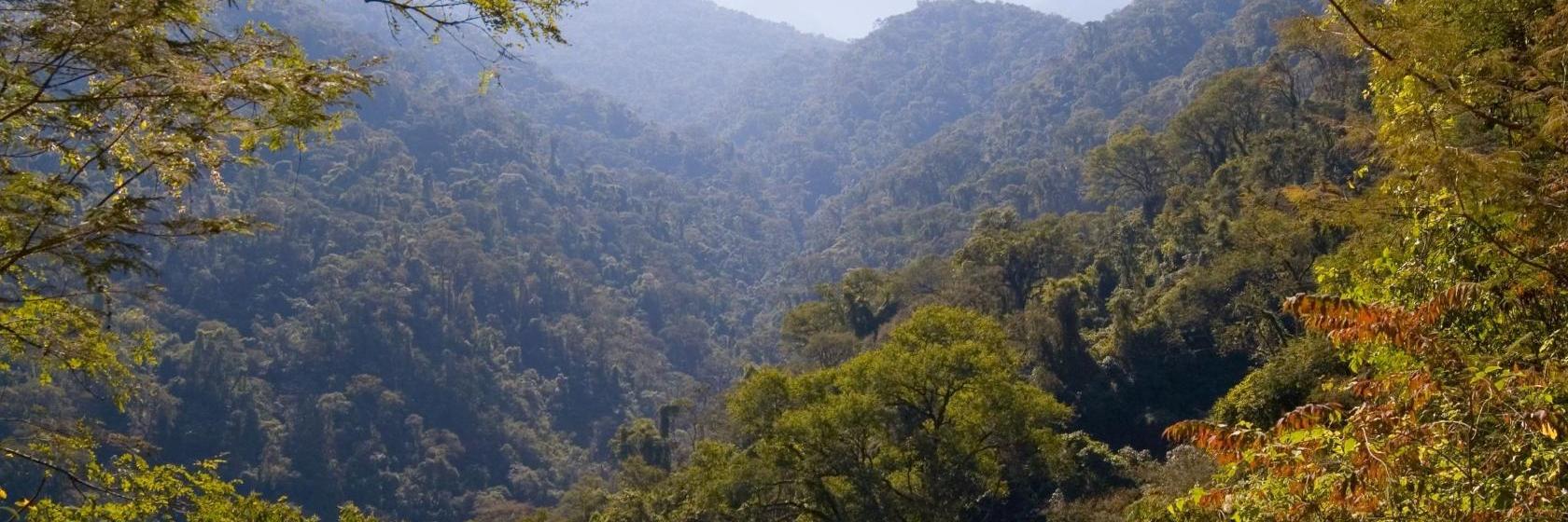 The best available hotels & places to stay near Chulumani, Bolivia