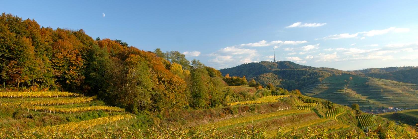 The 10 best hotels & places to stay in Neuried, Germany - Neuried hotels