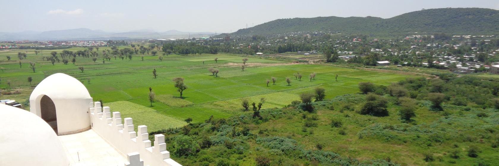 The Best Adama Hotels, Ethiopia (From $14)