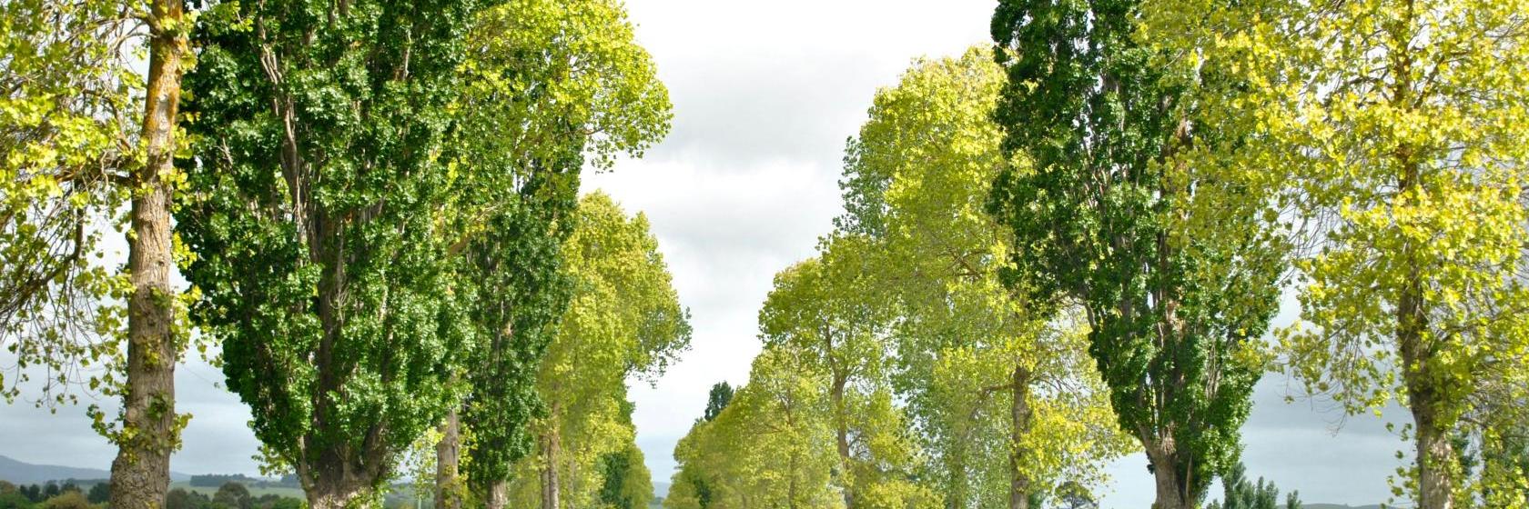 The 10 best hotels & places to stay in Revesby, Australia – Revesby hotels