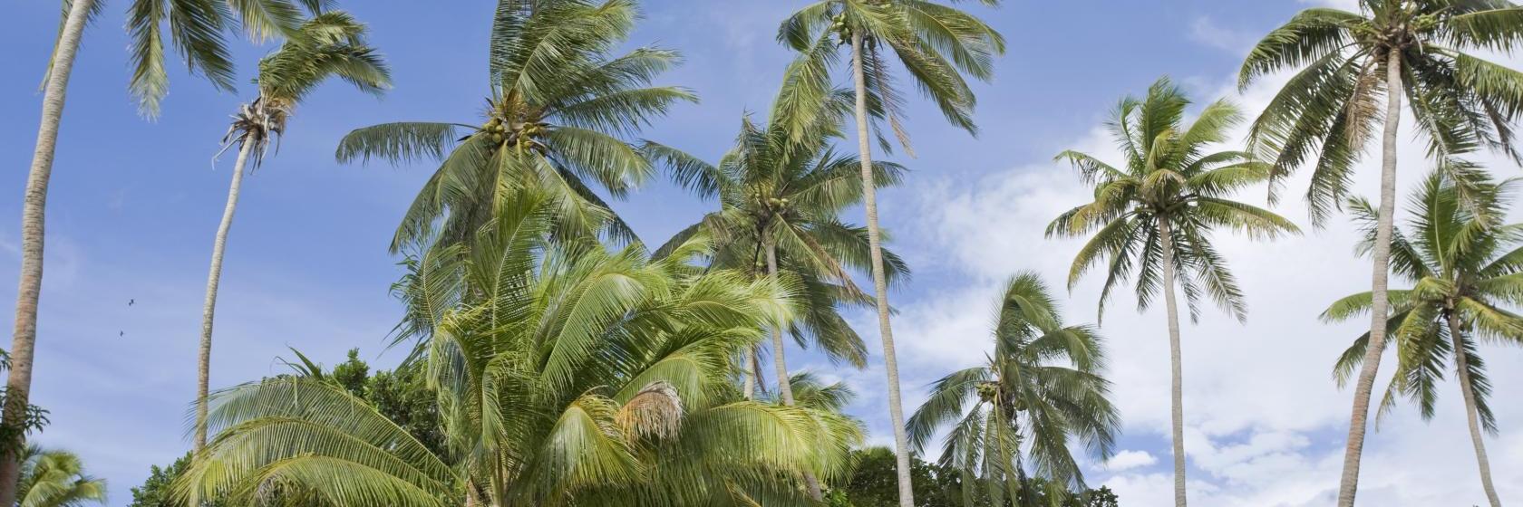 The 10 best hotels & places to stay in Paea, French Polynesia - Paea hotels