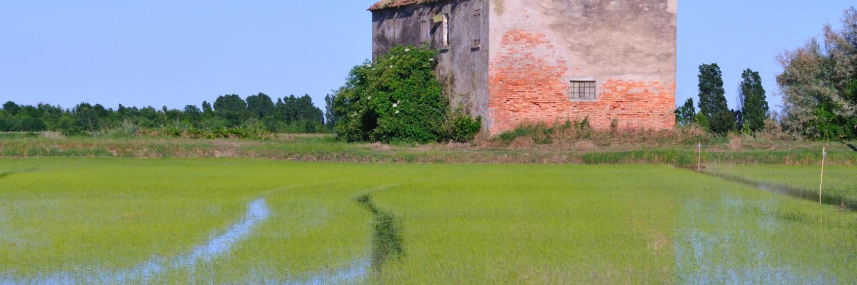 The best available hotels & places to stay near Cona, Italy