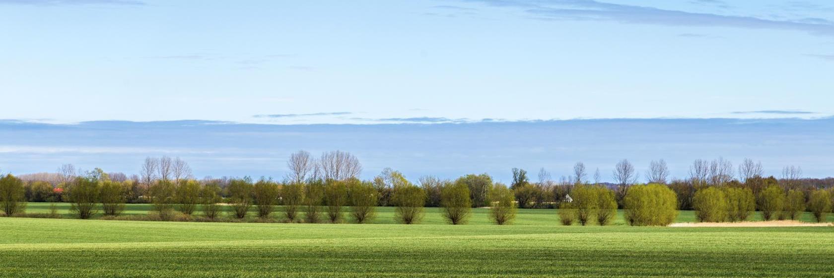 The best available hotels & places to stay near Scherzheim, Germany