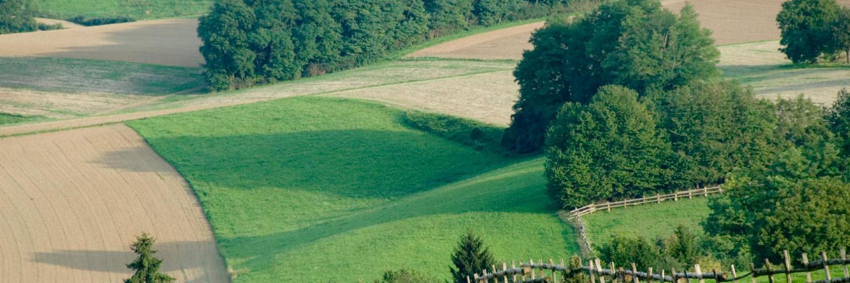 Die besten verfügbaren Hotels und Unterkünfte in der Nähe von ...