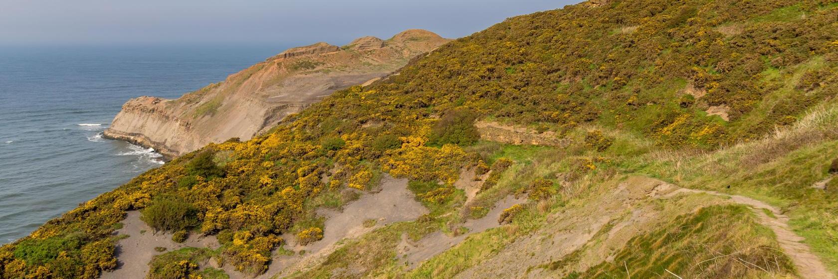 The 10 best hotels in Hinderwell, North Yorkshire - Cheap Hinderwell hotels