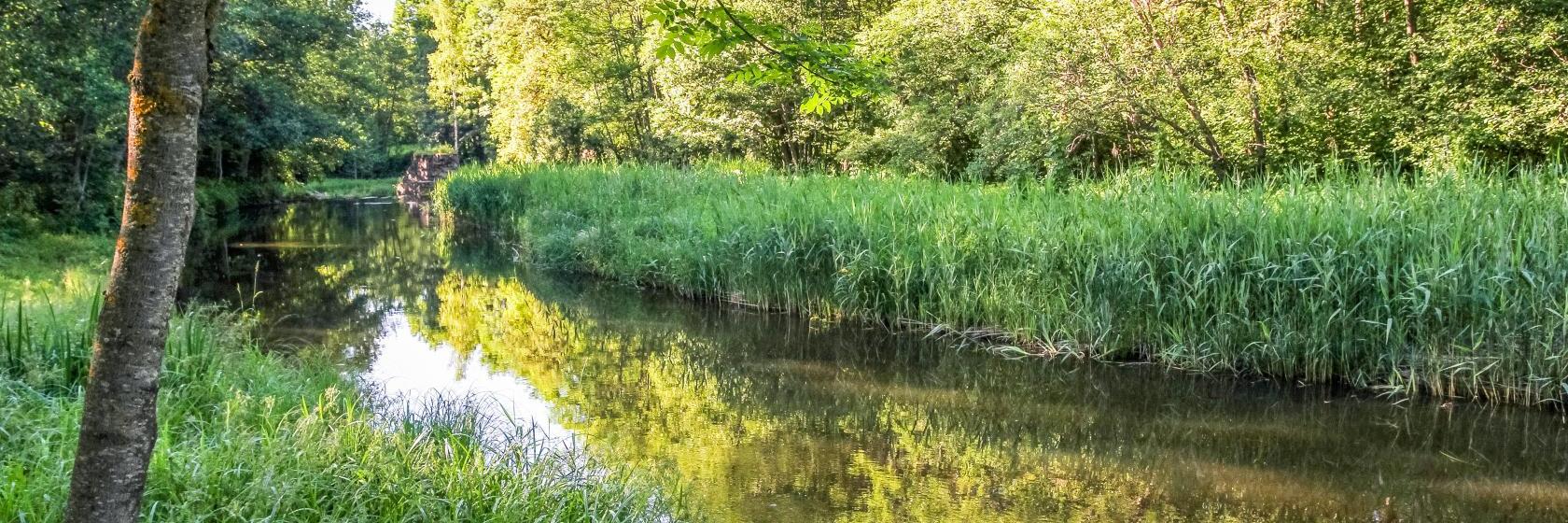 The best available hotels & places to stay near Alanta, Lithuania