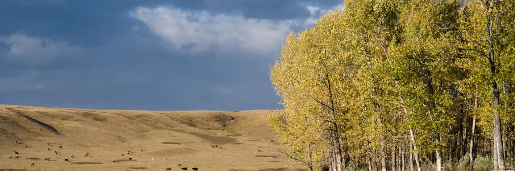 The best available hotels & places to stay near High River, Canada