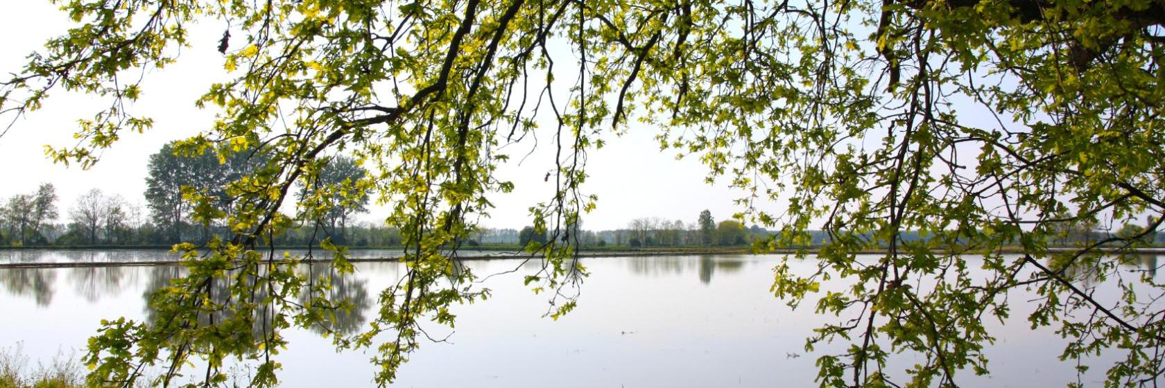 The best available hotels & places to stay near Ronco allʼAdige, Italy