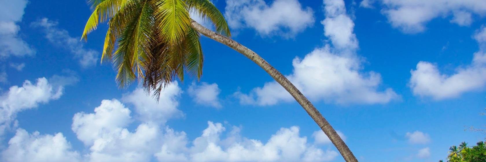 The best available hotels & places to stay near Smith Point, Bahamas