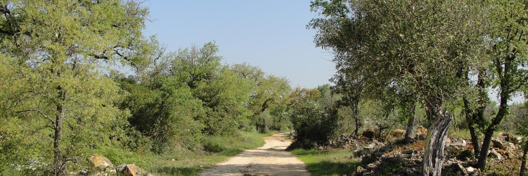 The best available hotels & places to stay near Sobral, Portugal