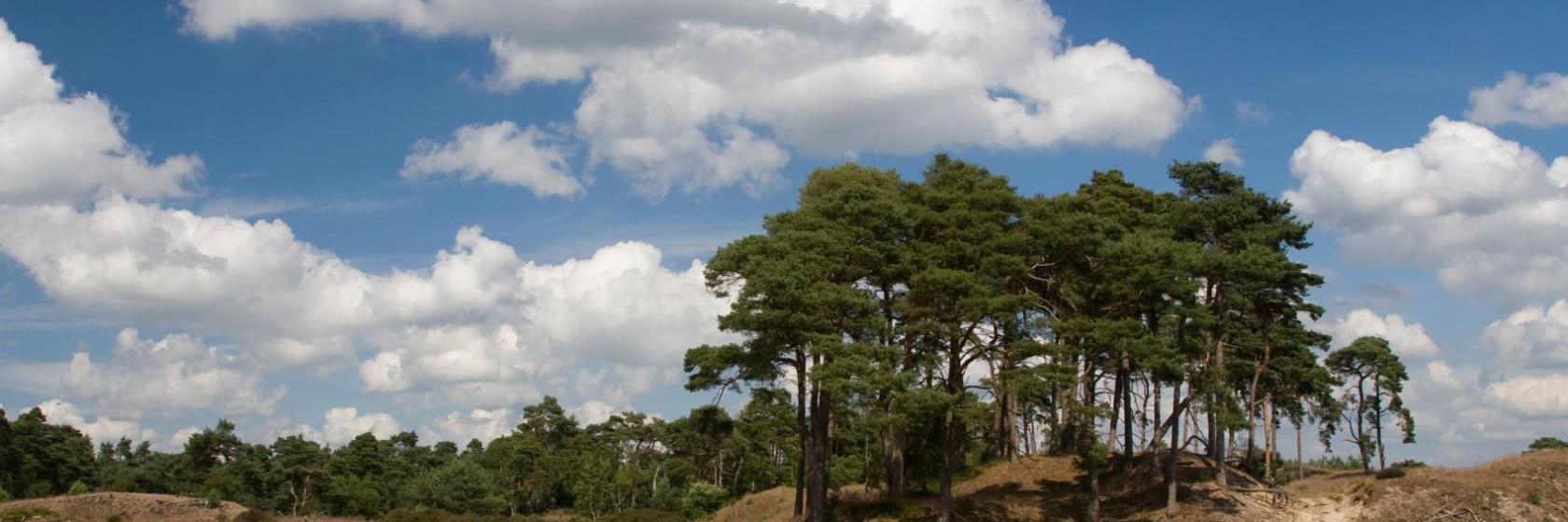 The 10 best hotels near Nijverdal Station in Nijverdal, Netherlands