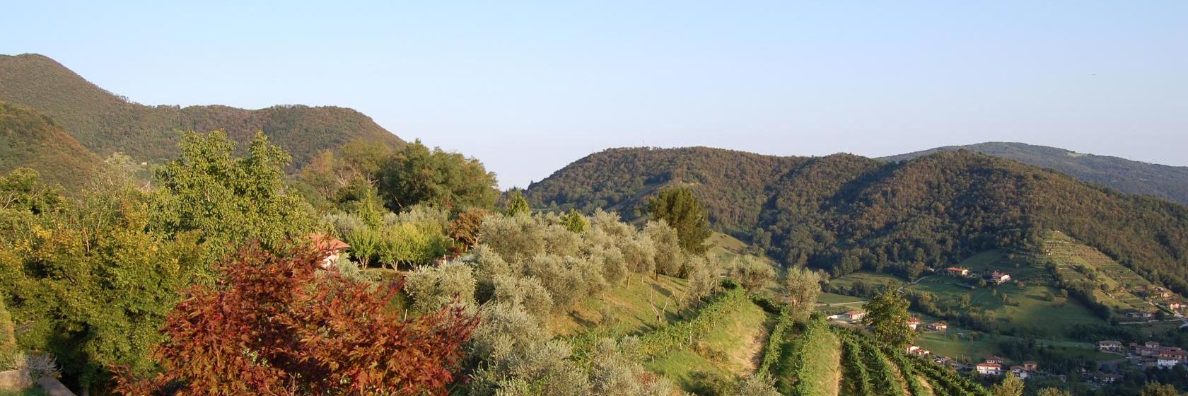 The 10 best hotels & places to stay in Villongo SantʼAlessandro, Italy ...