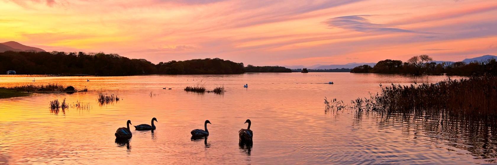 The best available hotels & places to stay near Fossa, Ireland