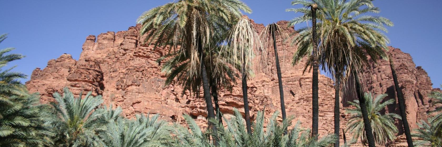 10 Best Al-ʿUla Hotels, Saudi Arabia (From $209)